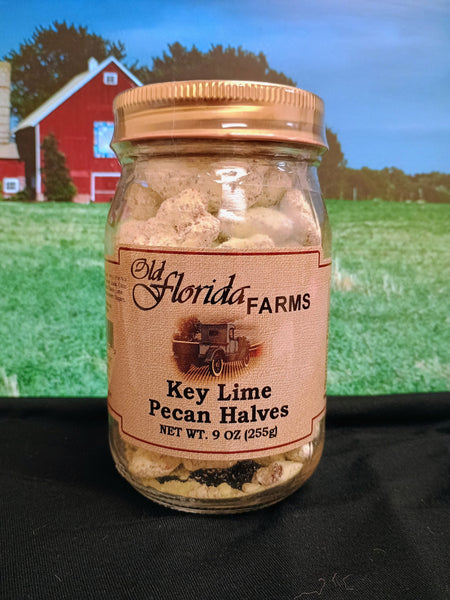 Key Lime Pecan Halves – Old Florida Farms