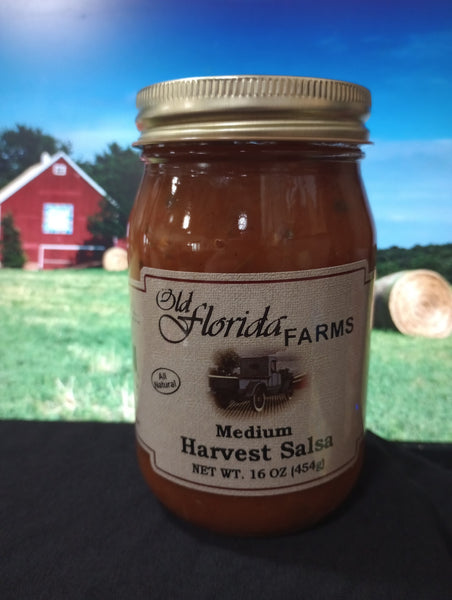 Medium Harvest Salsa * Seasonal* – Old Florida Farms